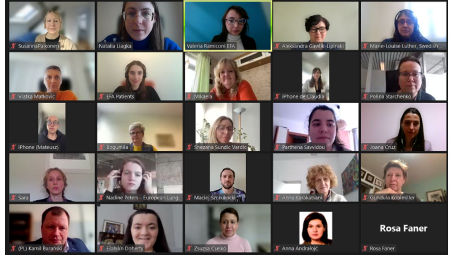 A look at the first LungHealth4Life Community of Practice meeting ...