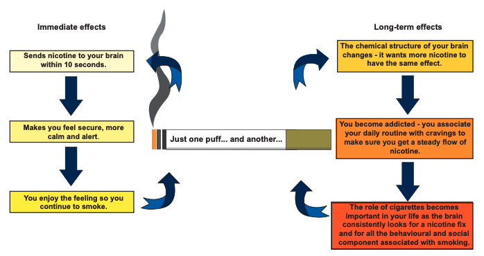 Smoking and the lungs - European Lung Foundation