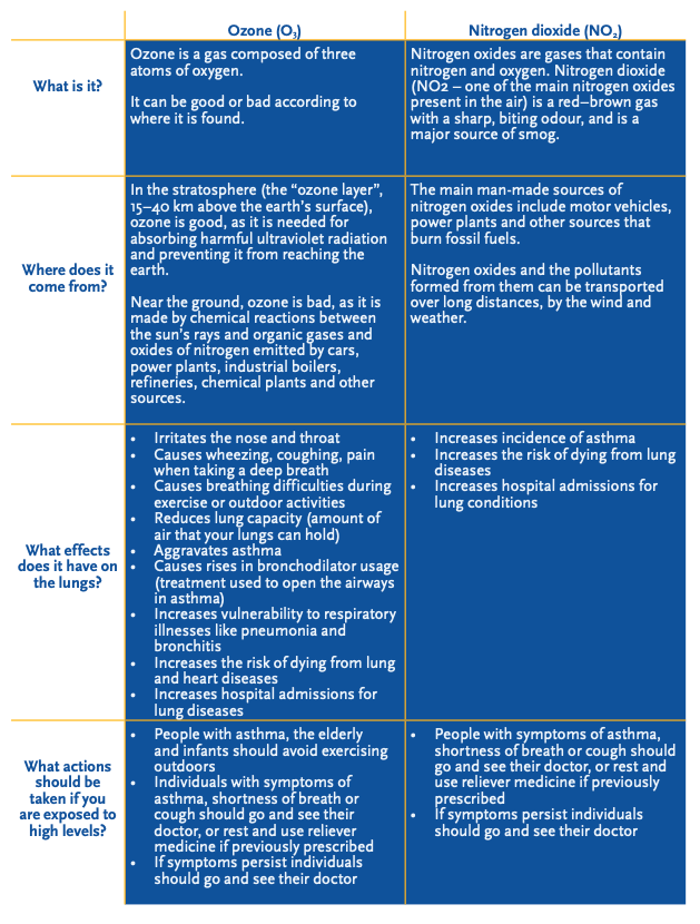 Outdoor air pollution and the lungs - European Lung Foundation