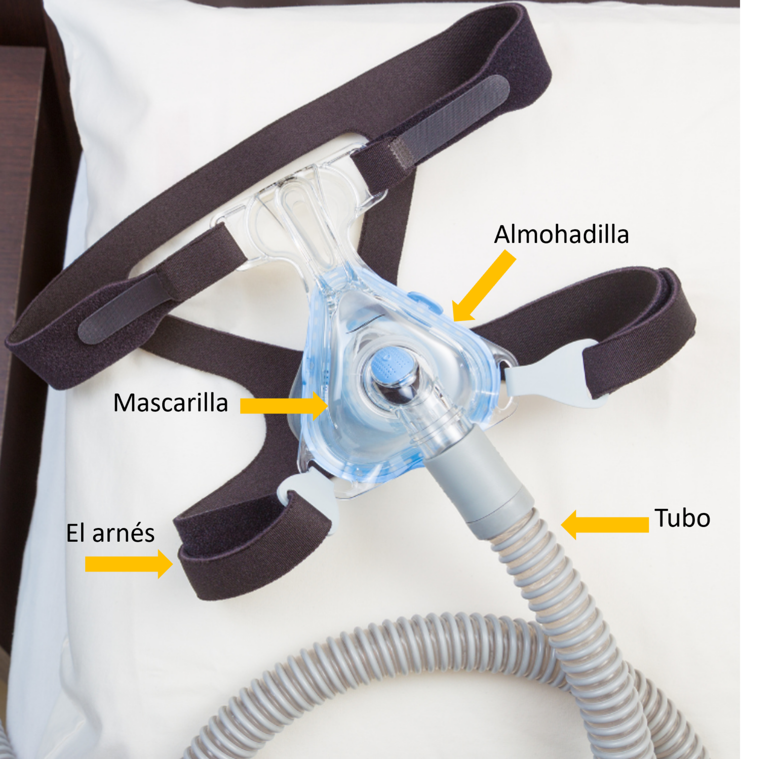Presión positiva continua en la vía aérea (CPAP, por sus siglas en ...