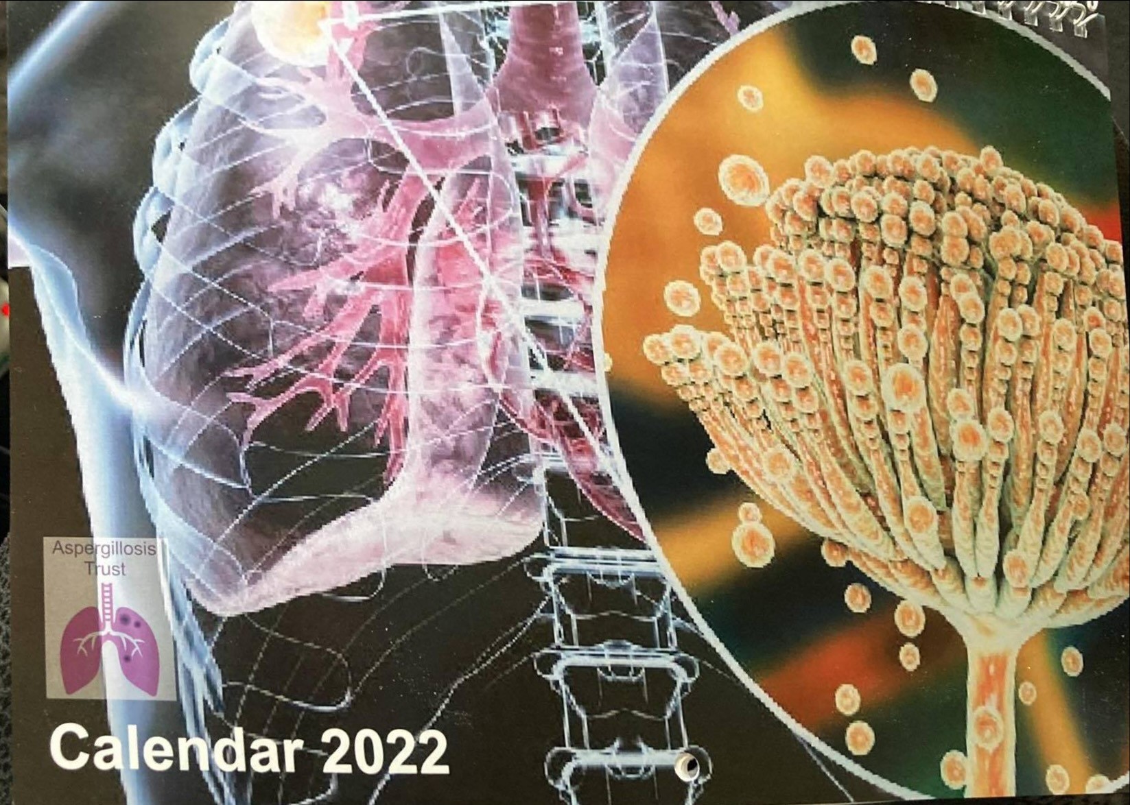 Patient Organisation Round-up: December 2021 - European Lung Foundation