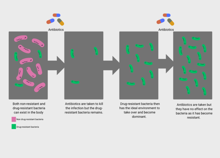 Antimicrobial resistance (AMR) - European Lung Foundation