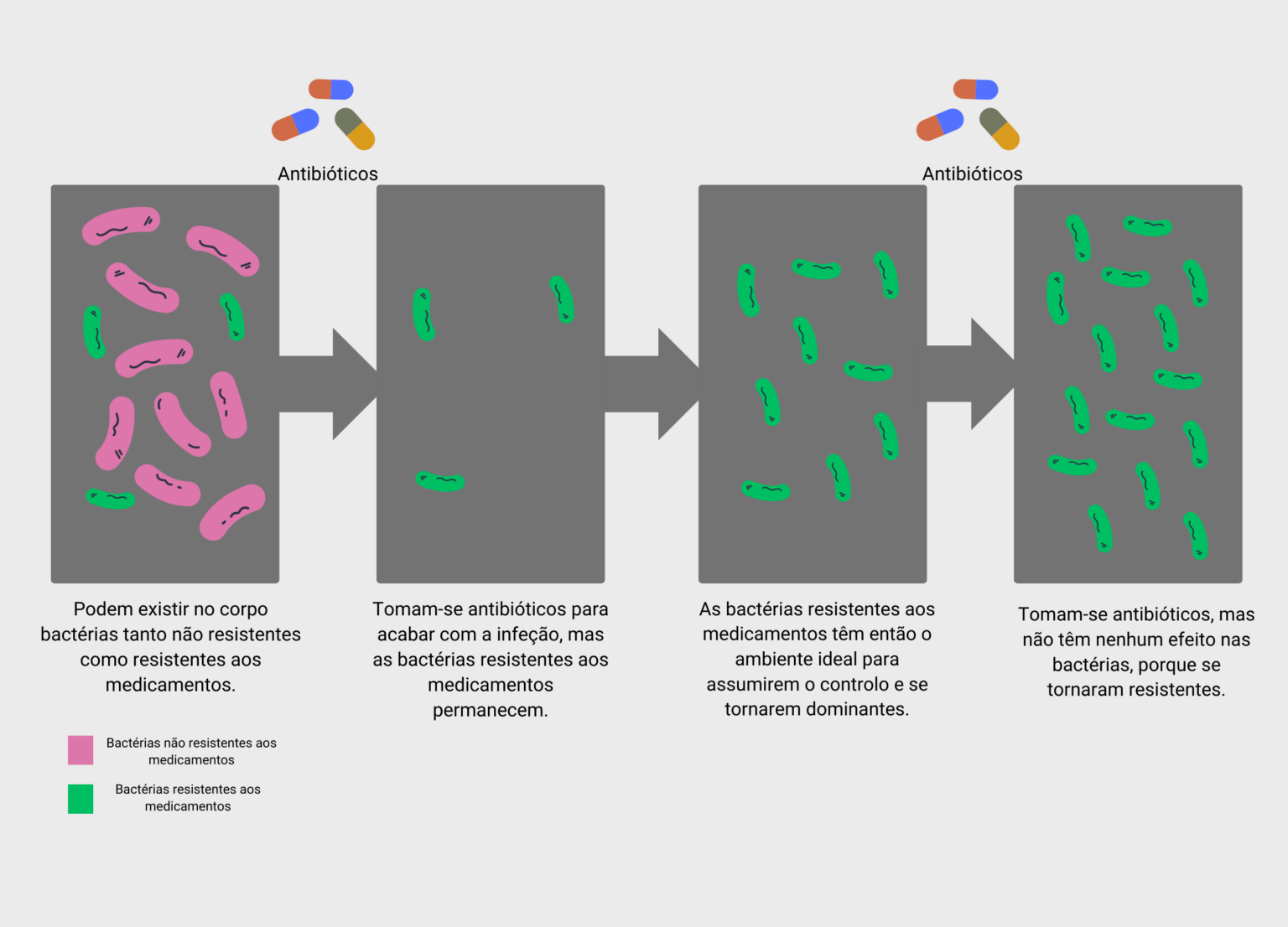 Resistência antimicrobiana (RAM) - European Lung Foundation